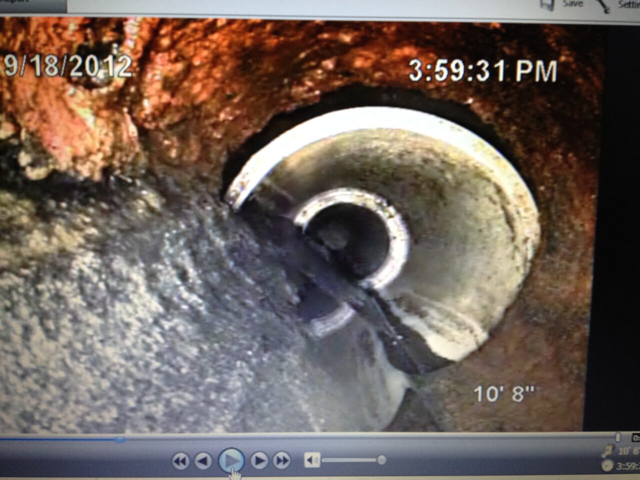 A Seamless Solution: How Blue Works Plumbing Saved City Hall from ...